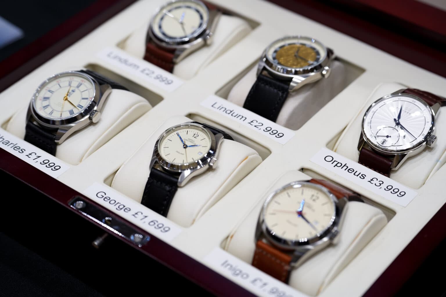 A real-life community for the curious | The Watch Collectors' Club